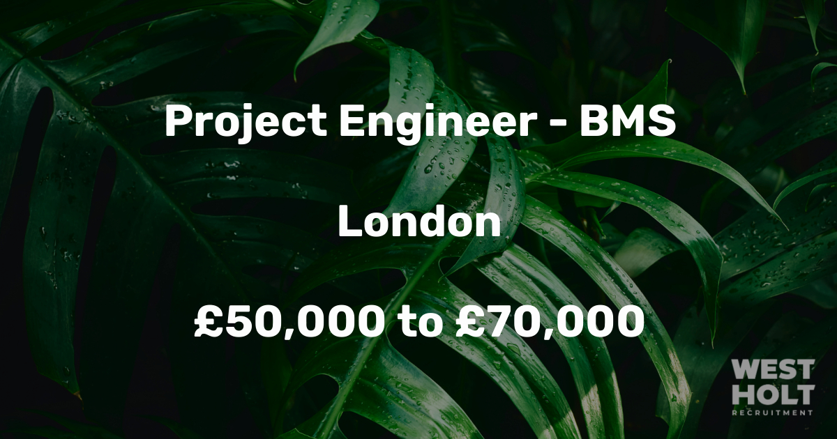 Project Engineer - BMS Job | West Holt Recruitment